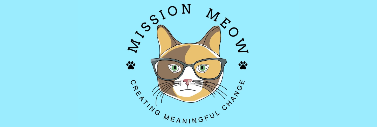 We've Partnered Up With Mission Meow! – Tabby Cat Coffee Company